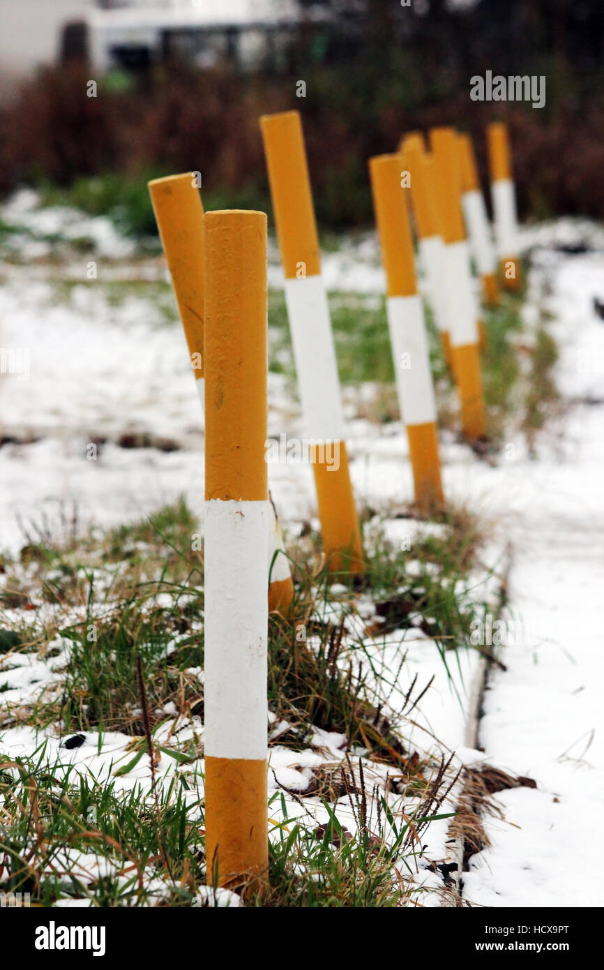 Yellow Parking Poles