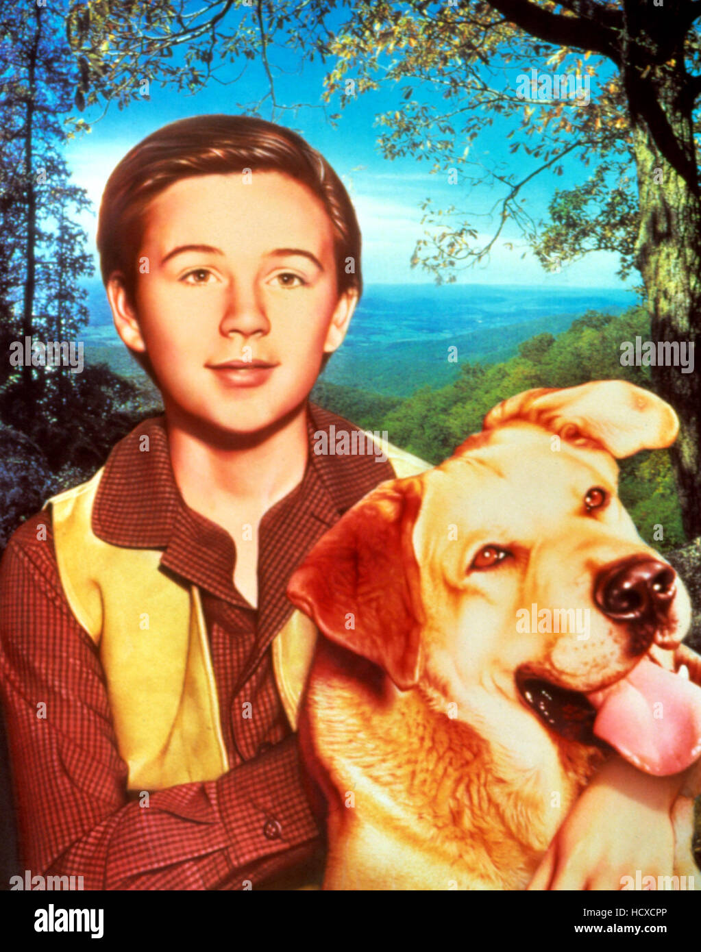 OLD YELLER, Tommy Kirk, 1957 Stock Photo - Alamy