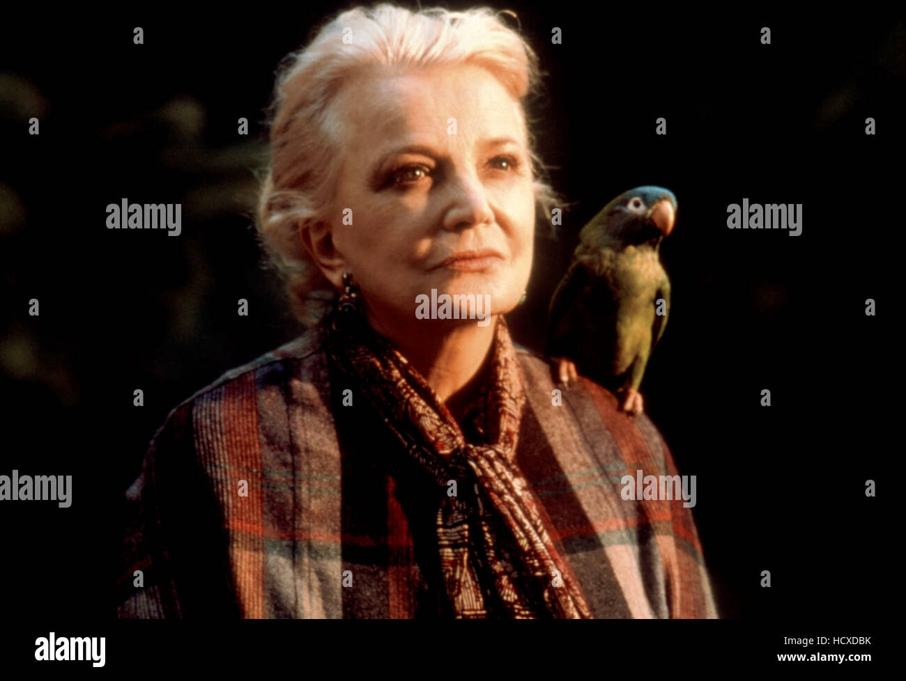 PAULIE, Gena Rowlands, 1998, (c)DreamWorks/courtesy Everett Collection ...