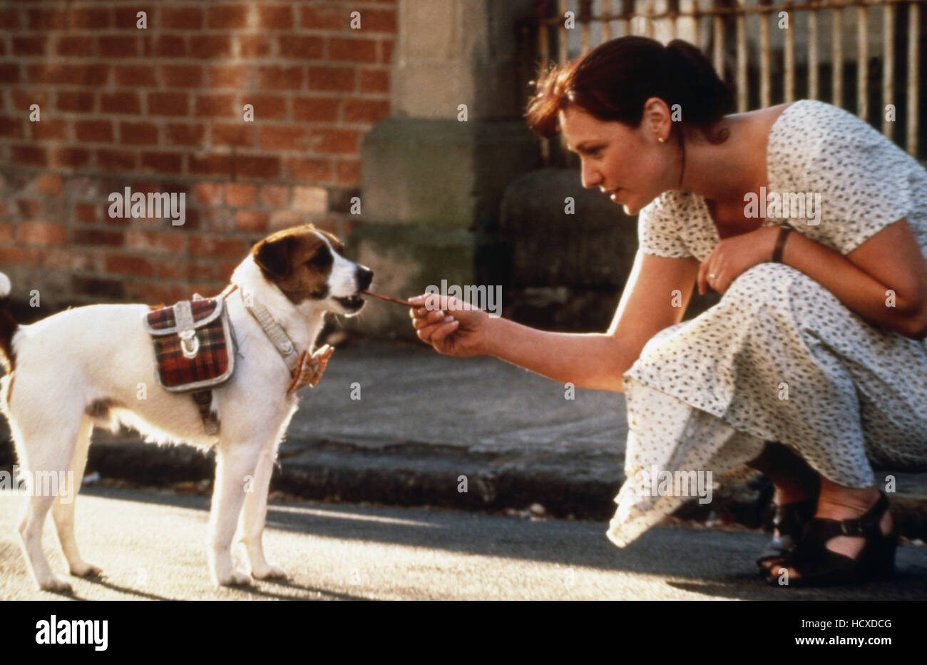 PAWS, from left: PC the dog, Rachael Blake, 1997, © Polygram Filmed ...