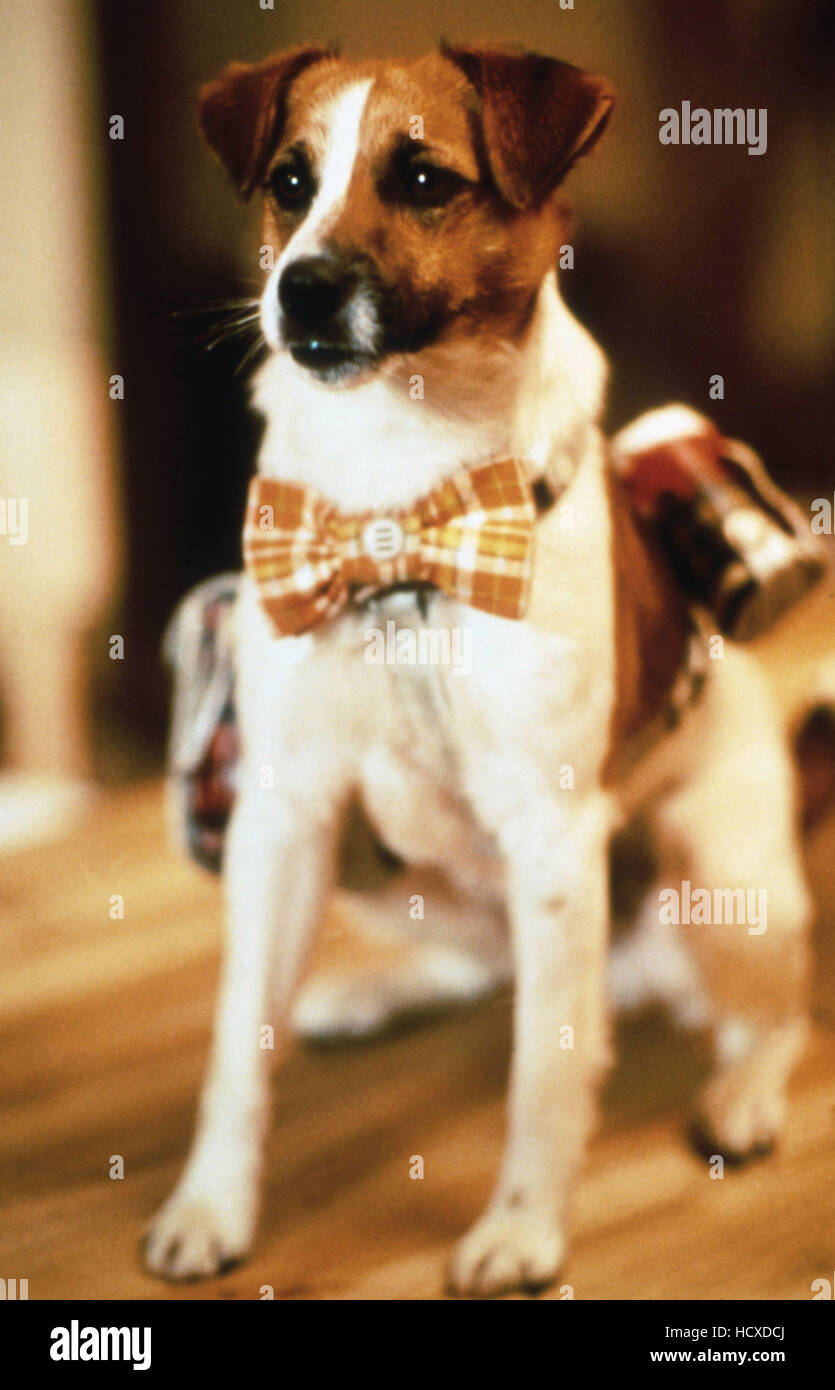 PAWS, PC the dog, 1997, © Polygram Filmed Entertainment/courtesy ...