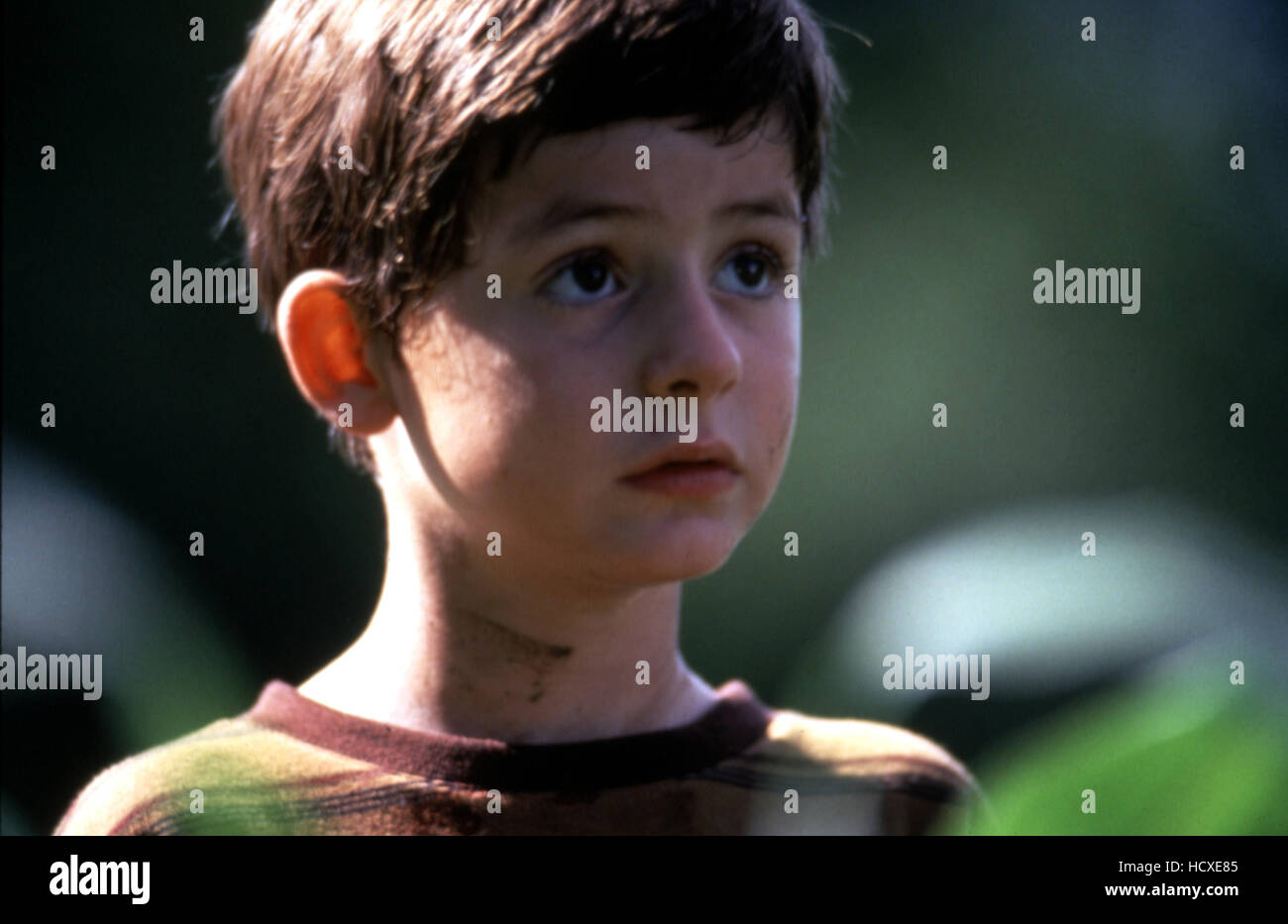 A PERFECT WORLD, T.J. Lowther, 1993, (c)Warner Bros./courtesy Everett ...