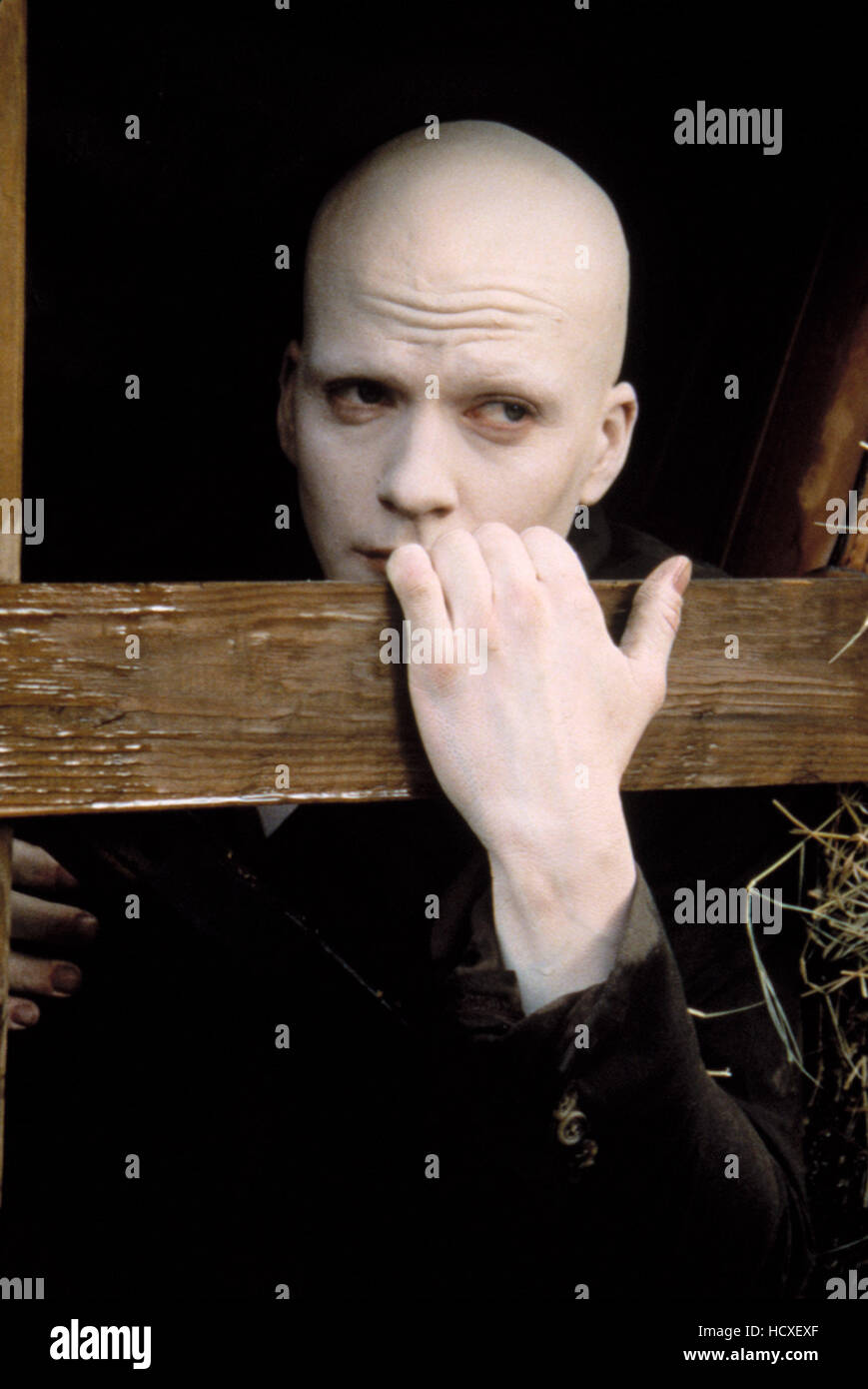 POWDER, Sean Patrick Flanery, 1995 Stock Photo - Alamy POWDER, Sean Patrick Flanery, 1995 Stock Photo - Alamy