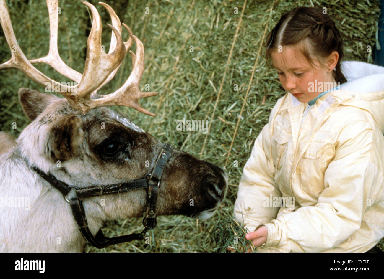 PRANCER, Rebecca Harrell, 1989 Stock Photo - Alamy
