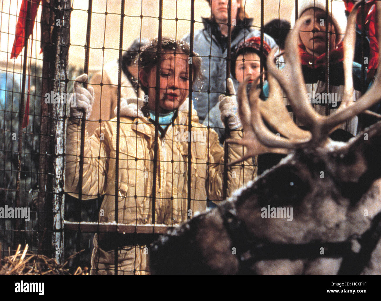 PRANCER, Rebecca Harrell, 1989 Stock Photo - Alamy