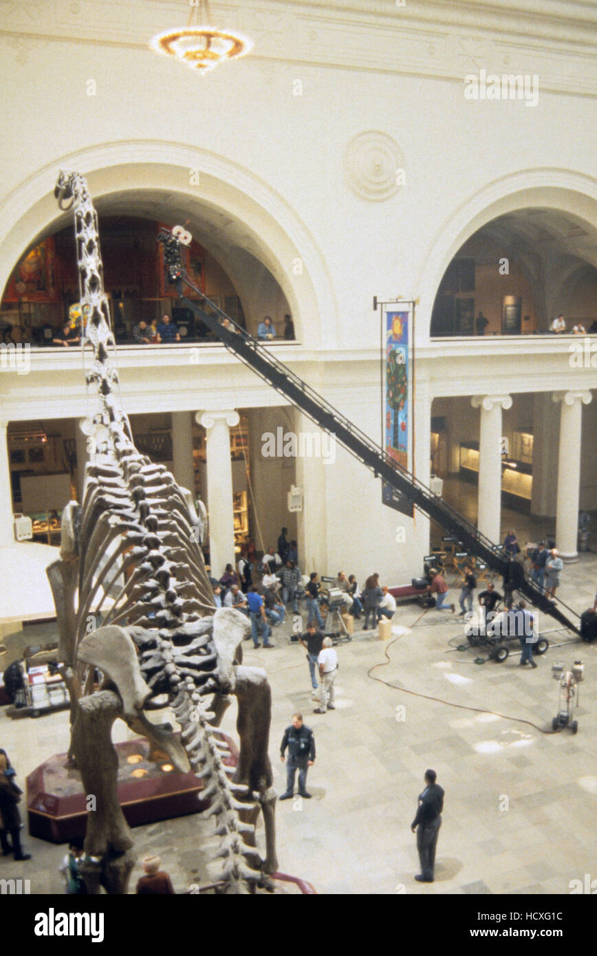 THE RELIC, 1997, © Paramount/courtesy Everett Collection Stock Photo ...