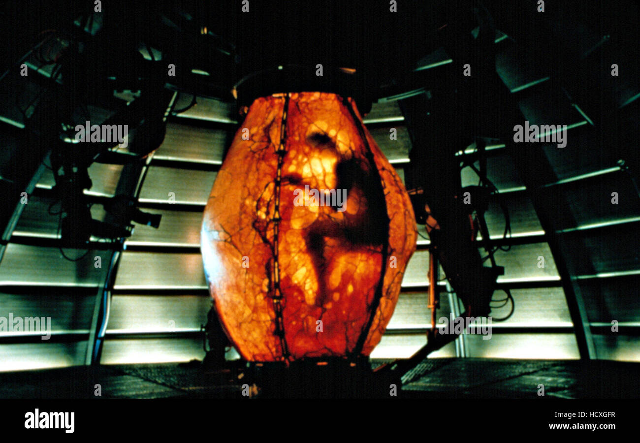REPLICANT, a cloning maturation chamber, 2001 Stock Photo - Alamy