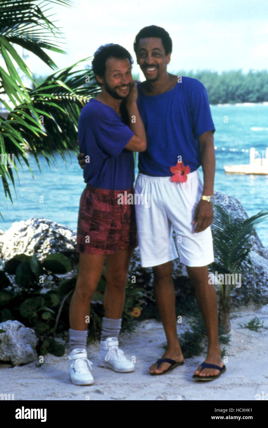 RUNNING SCARED, Billy Crystal, Gregory Hines, 1986 Stock Photo - Alamy