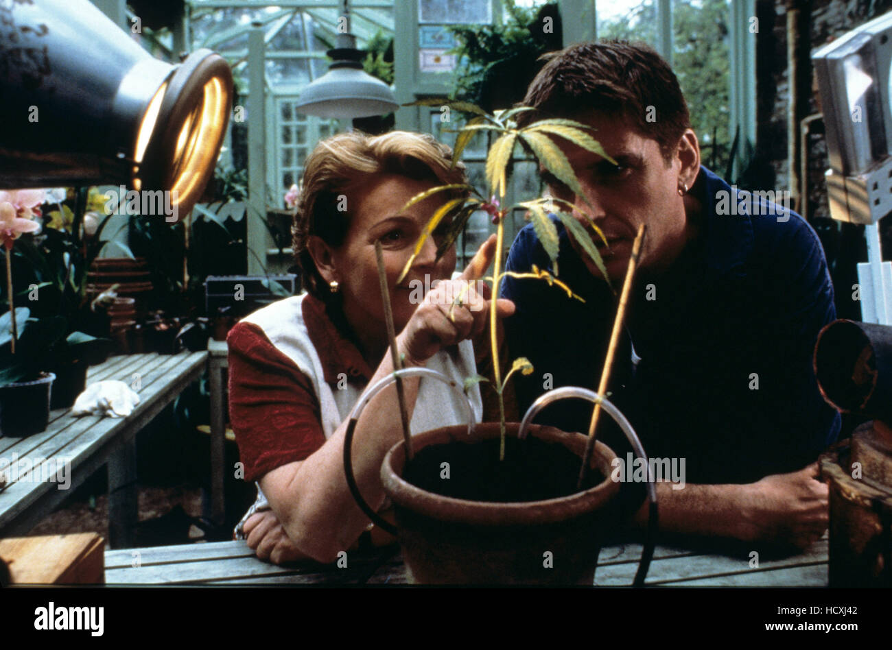 SAVING GRACE, from left: Brenda Blethyn, Craig Ferguson, 2000, © Fine ...