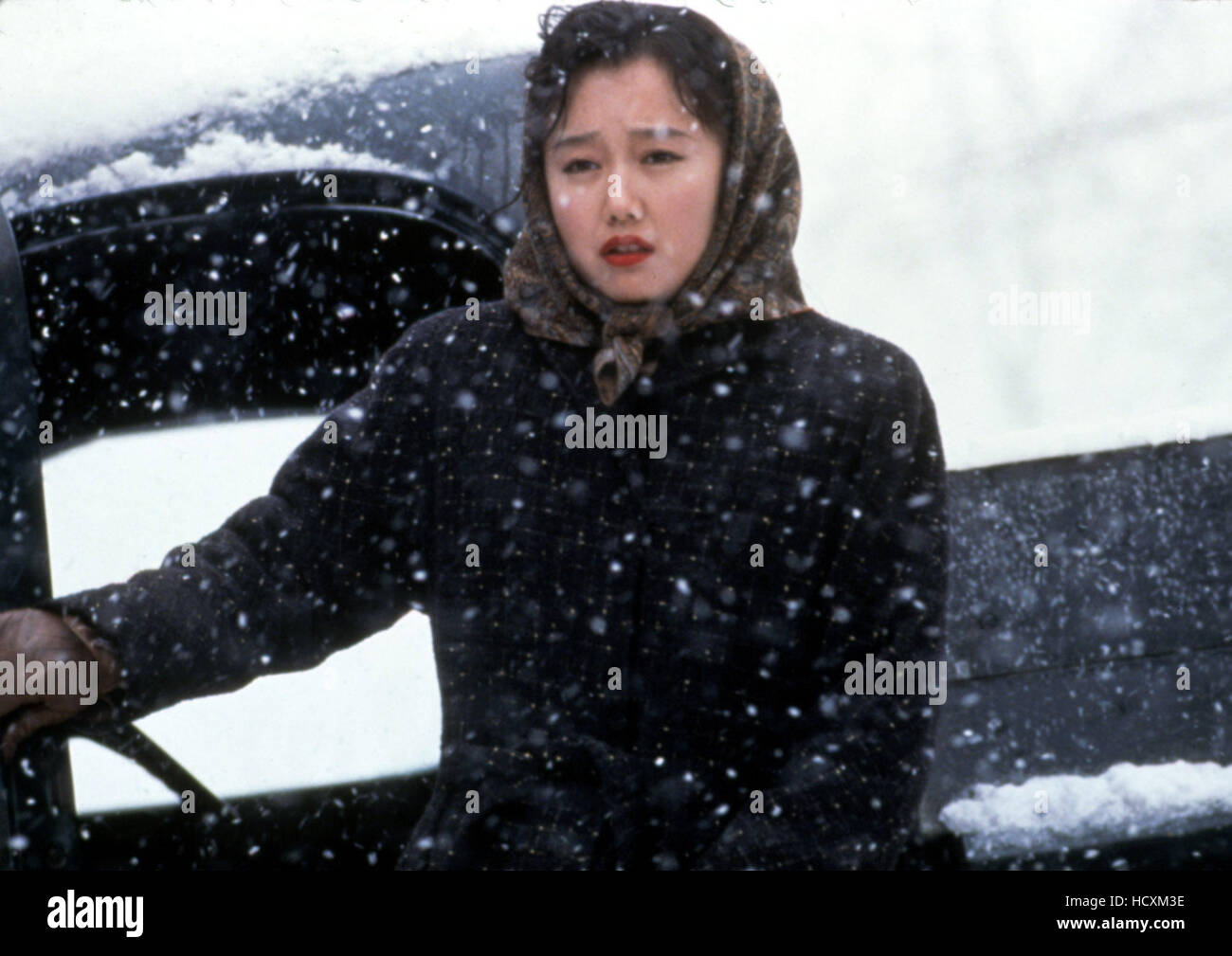 Snow Falling On Cedars