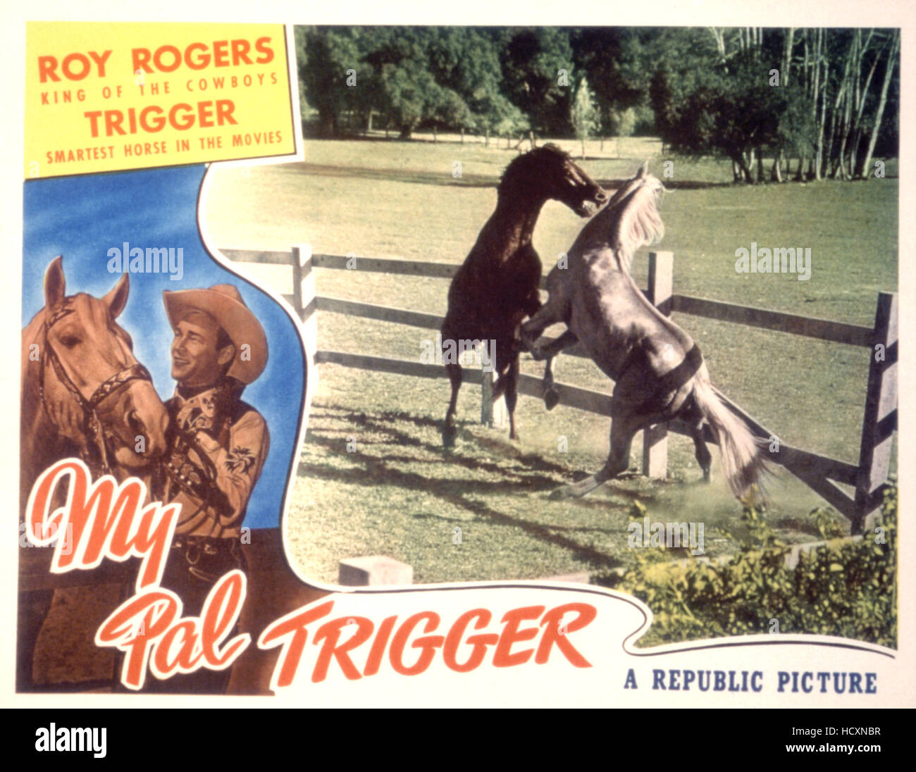 MY PAL TRIGGER, Trigger the horse, 1946 Stock Photo - Alamy