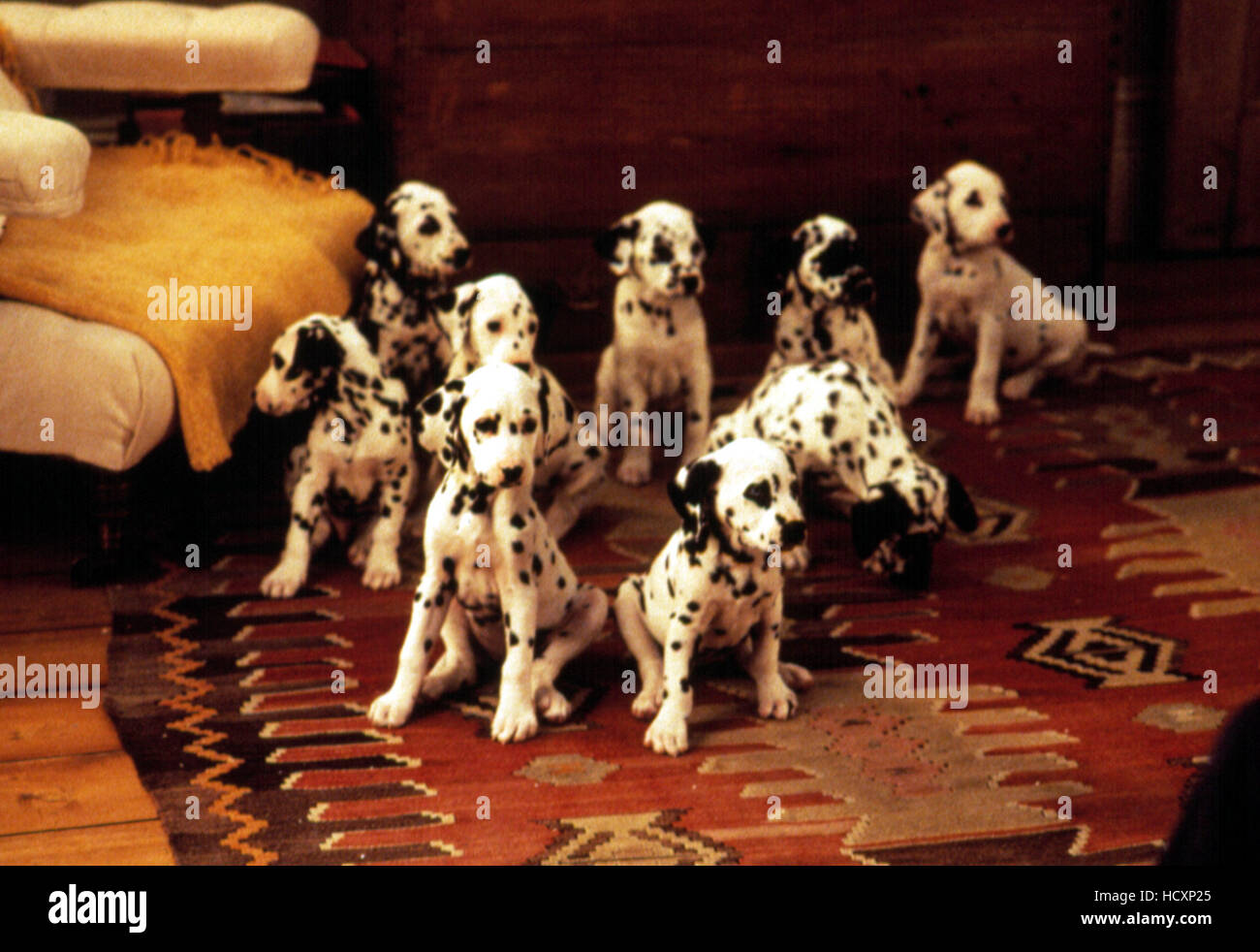 101 DALMATIANS, (aka ONE HUNDRED AND ONE DALMATIANS), Dalmatians, 1996 ...