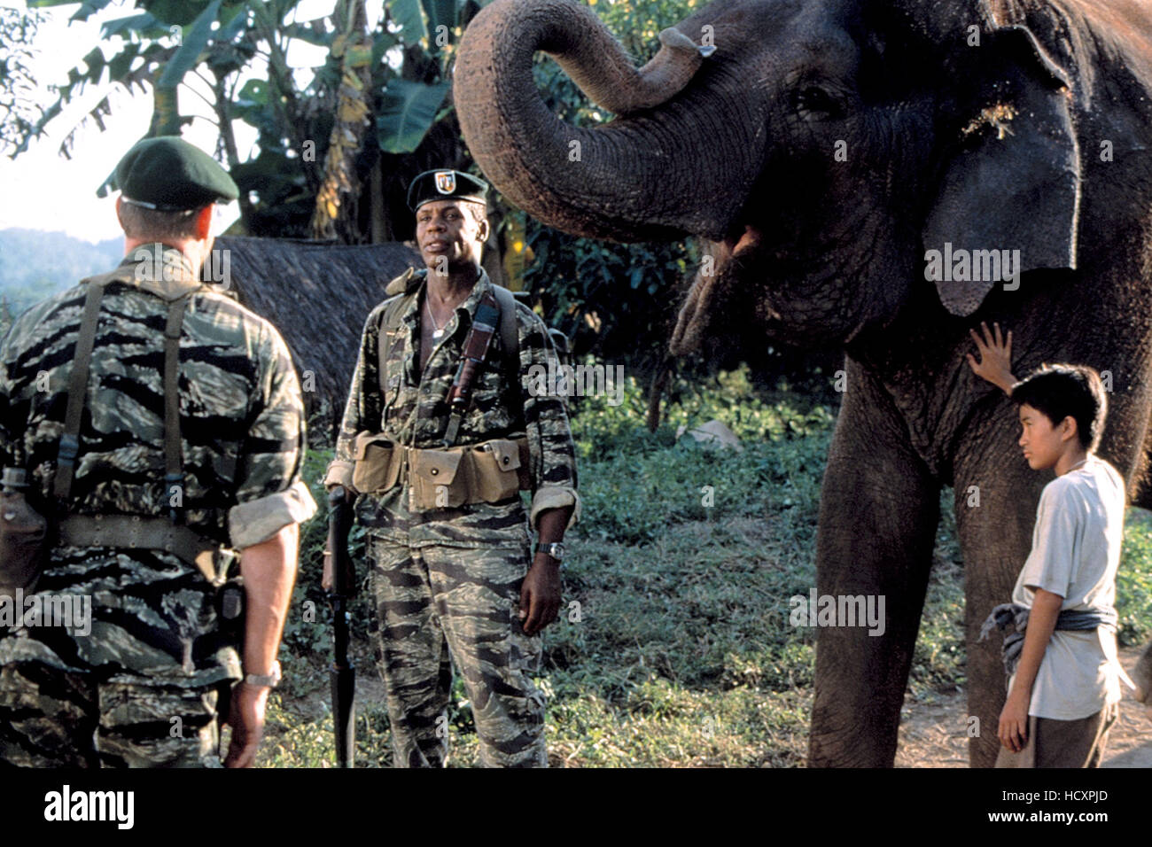 OPERATION DUMBO DROP, Danny Glover, Dinh Thien Le, 1995 Stock Photo - Alamy