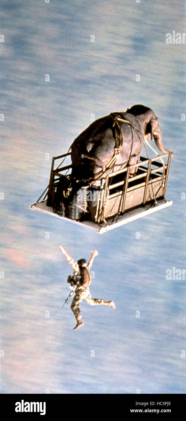 OPERATION DUMBO DROP, 1995 Stock Photo - Alamy