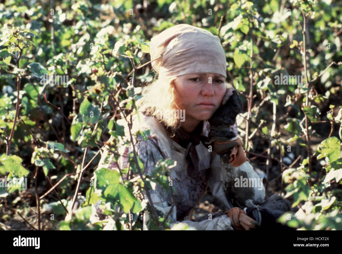 PLACES IN THE HEART, Sally Field, 1984, depressed in the field Stock ...