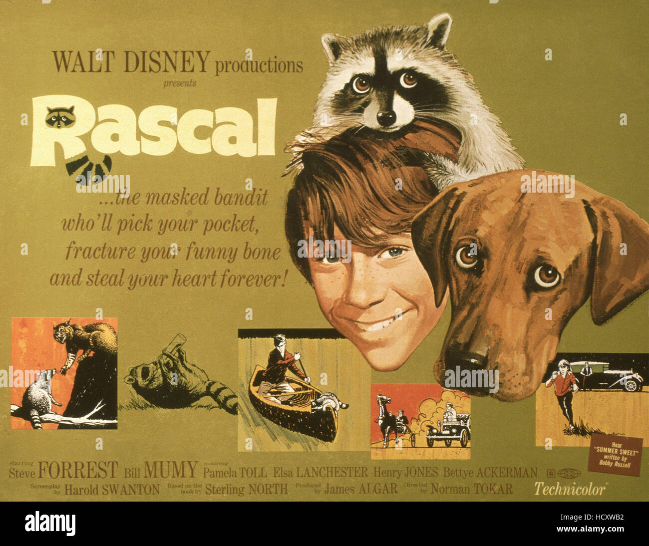 RASCAL, US poster, Billy Mumy, 1969 Stock Photo - Alamy