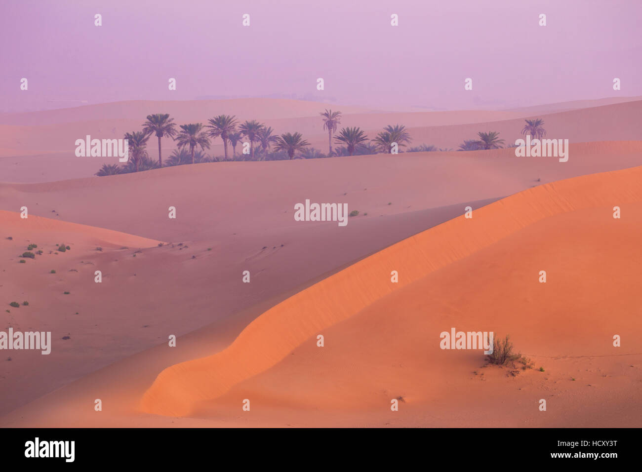 Remah Desert, Al Ain, Abu Dhabi, United Arab Emirates, Middle East ...