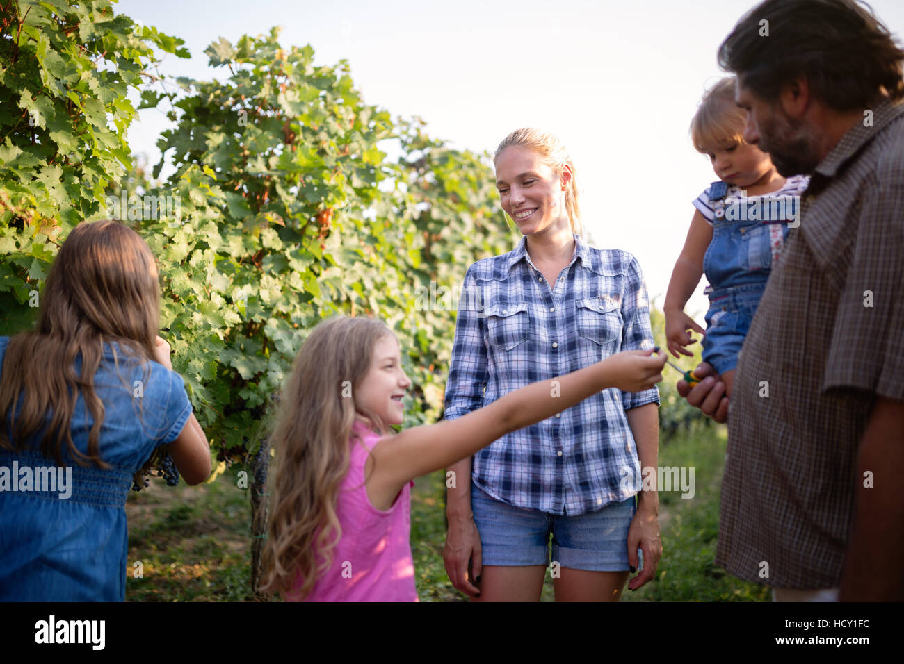 Happy wine grower family in vineyard Stock Photo - Alamy