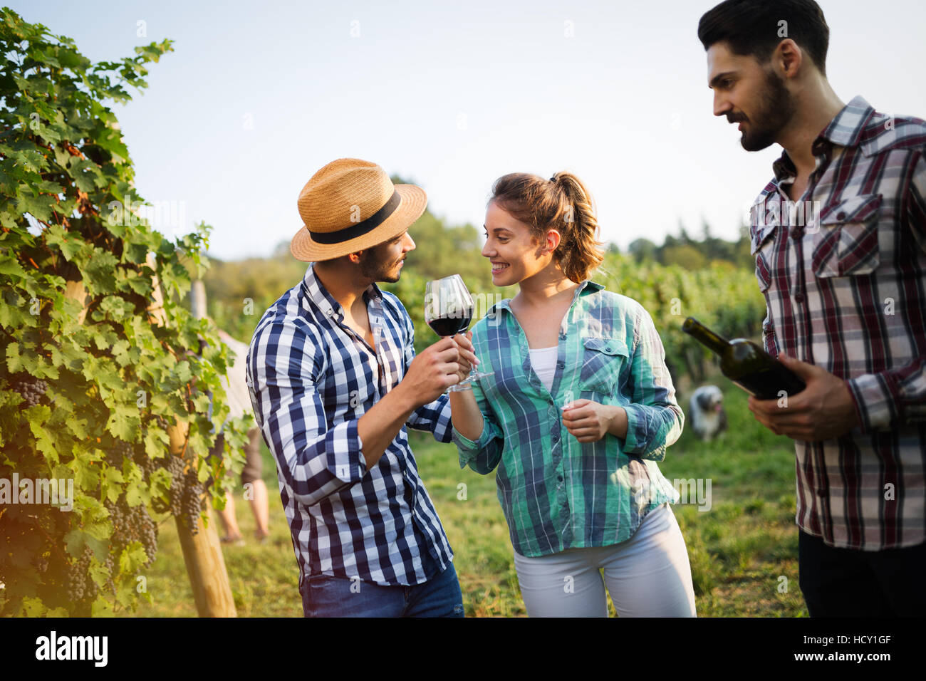 Happy wine growers tasting wine in vineyard Stock Photo - Alamy