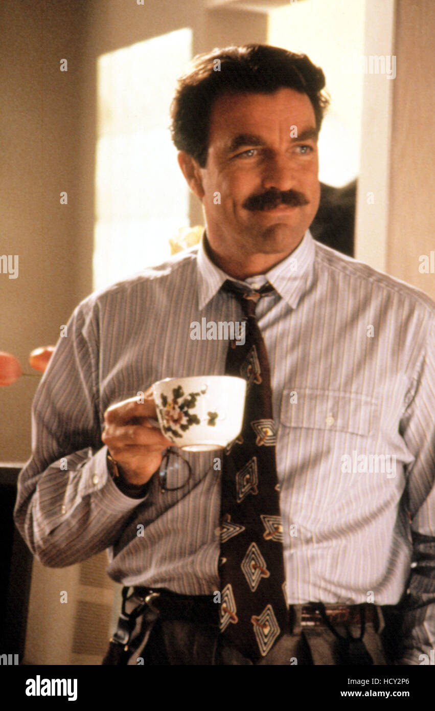 Three Men And A Little Lady Vhs