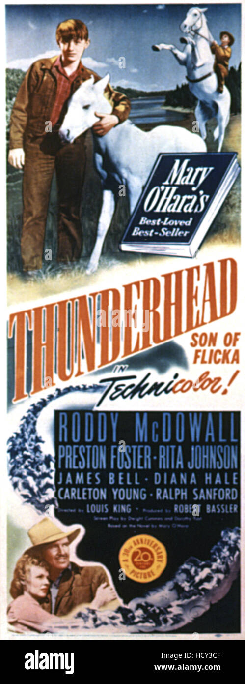 THUNDERHEAD, SON OF FLICKA, Rita Johnson, Roddy McDowall, Preston ...