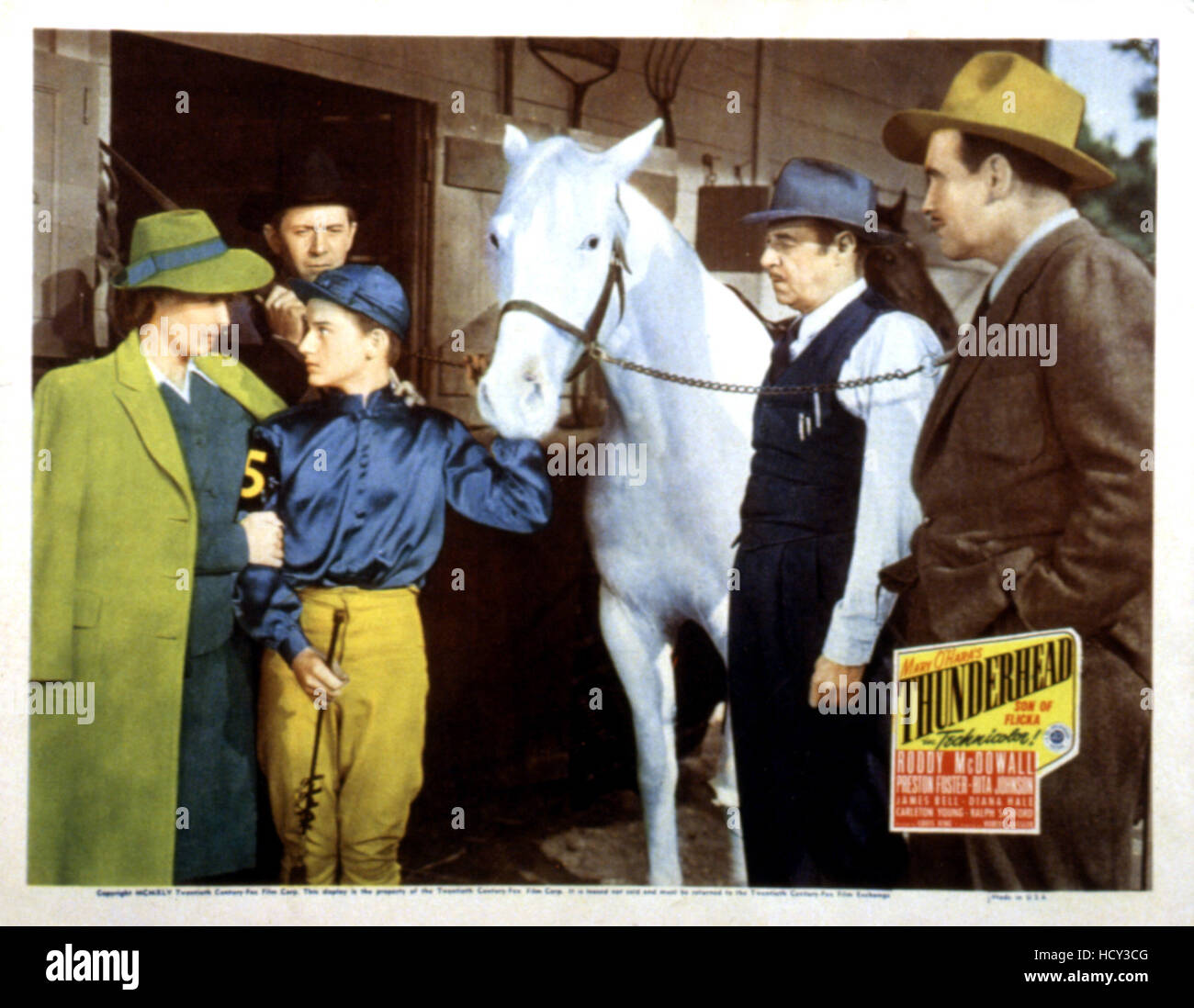 THUNDERHEAD, SON OF FLICKA, Rita Johnson, Roddy McDowall, Preston ...