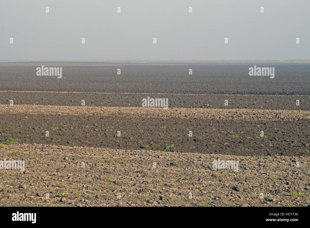 Mist over field hi-res stock photography and images - Alamy