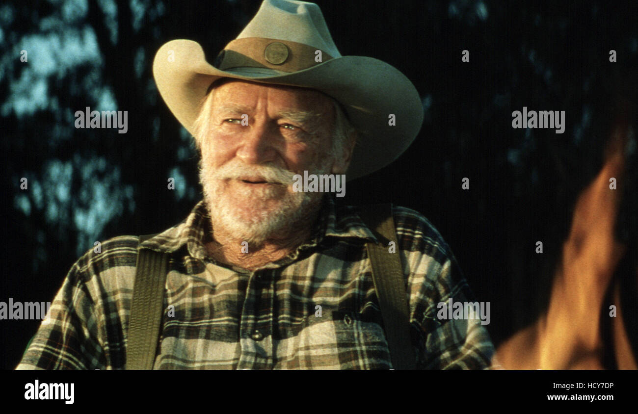 STRAIGHT STORY, Richard Farnsworth, 1999 Stock Photo - Alamy