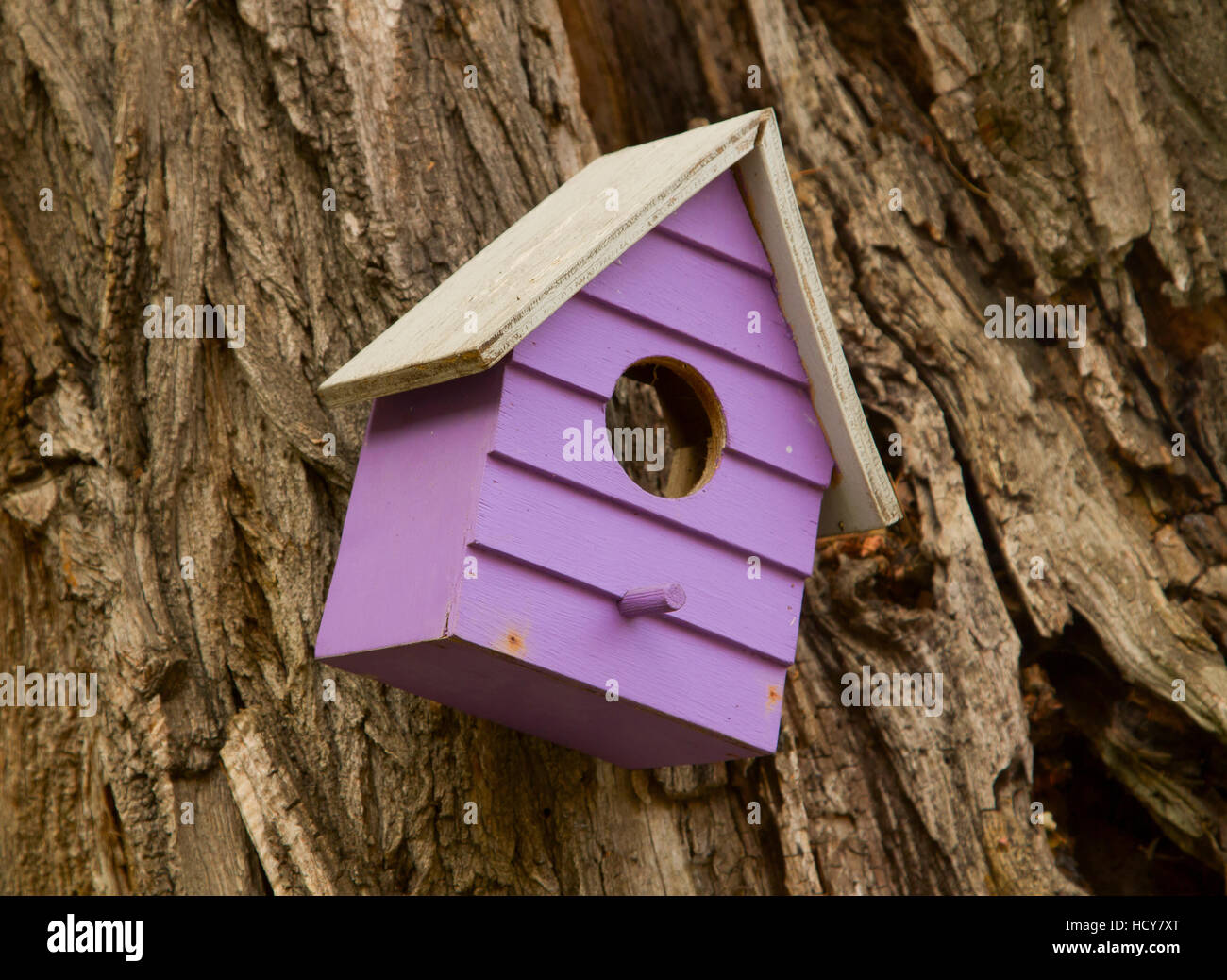 White box tree hi-res stock photography and images - Alamy