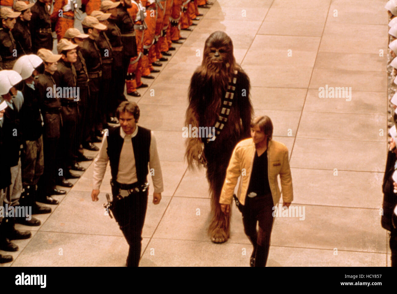 STAR WARS, (aka STAR WARS: EPISODE IV - A NEW HOPE), Harrison Ford, Chewbacca, Mark Hamill, 1977 ...
