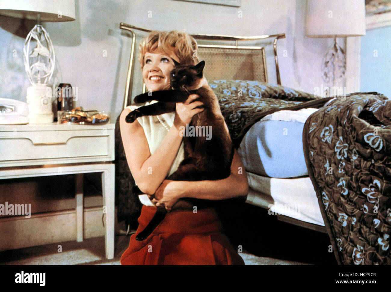 THAT DARN CAT, Hayley Mills, 1965 Stock Photo - Alamy