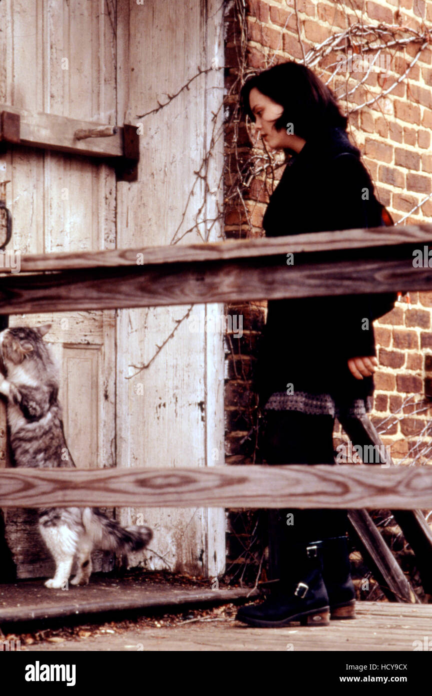 THAT DARN CAT, Christina Ricci, 1997, (c)Buena Vista Pictures/courtesy ...