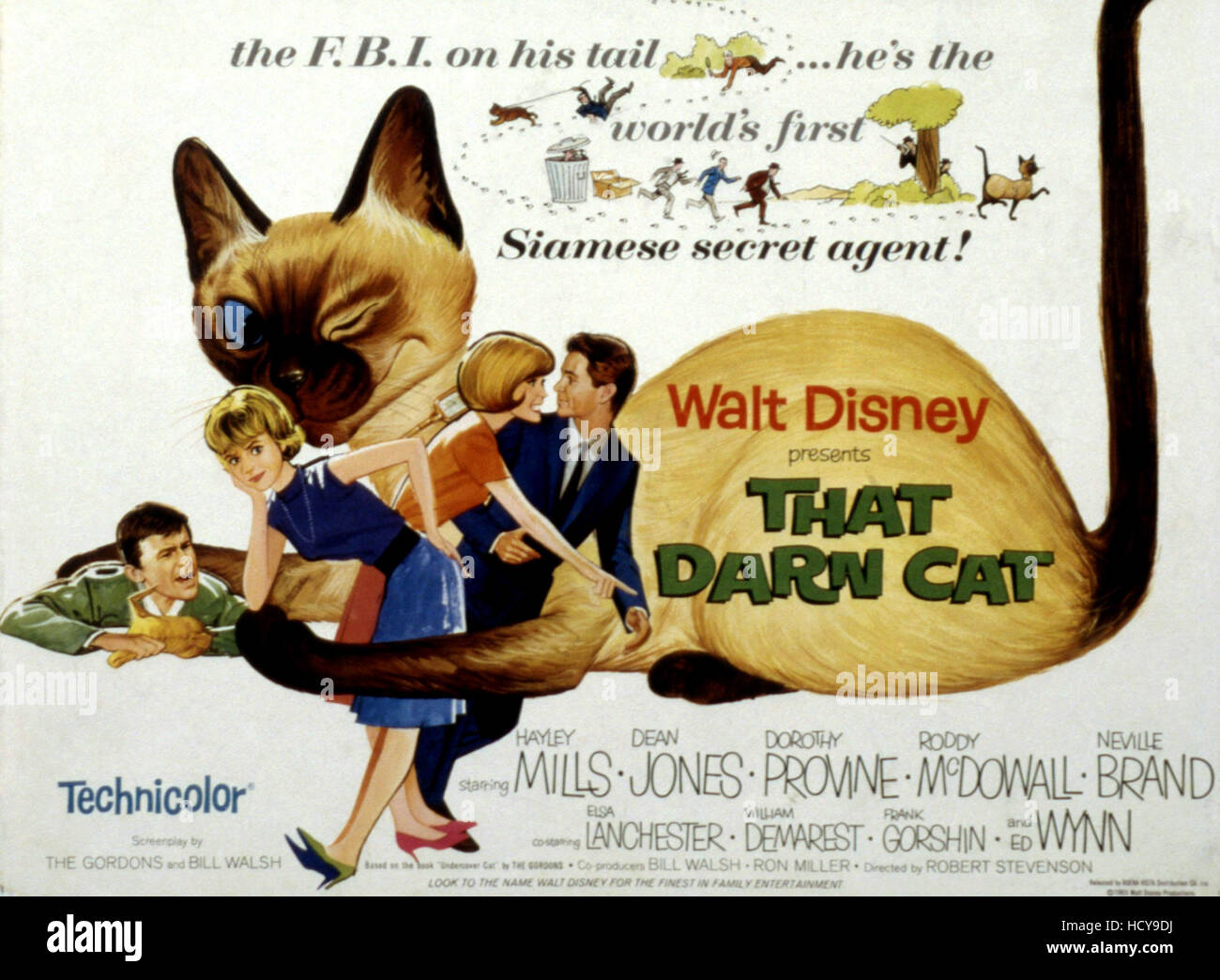 THAT DARN CAT, 1965 Stock Photo - Alamy