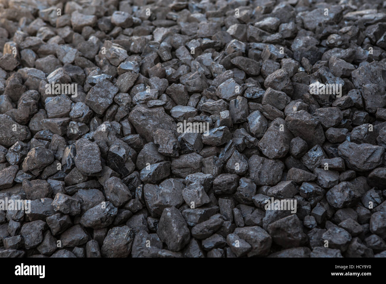 Types of fossil hi-res stock photography and images - Alamy