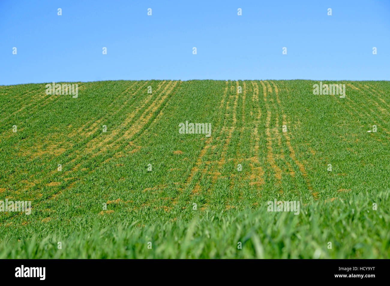 panoramic view of nice green hill on blue sky Stock Photo - Alamy