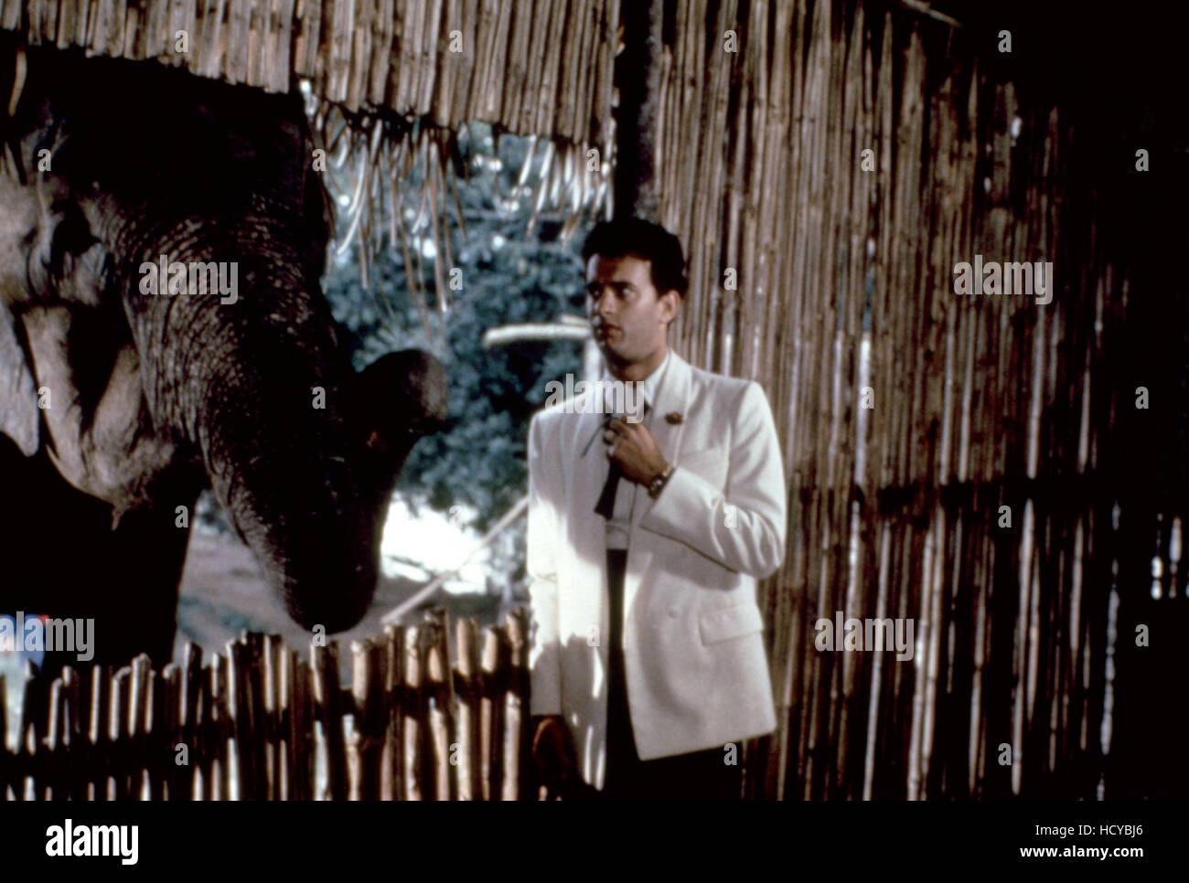 VOLUNTEERS, Tom Hanks, 1985. ©TriStar Pictures/courtesy Everett ...