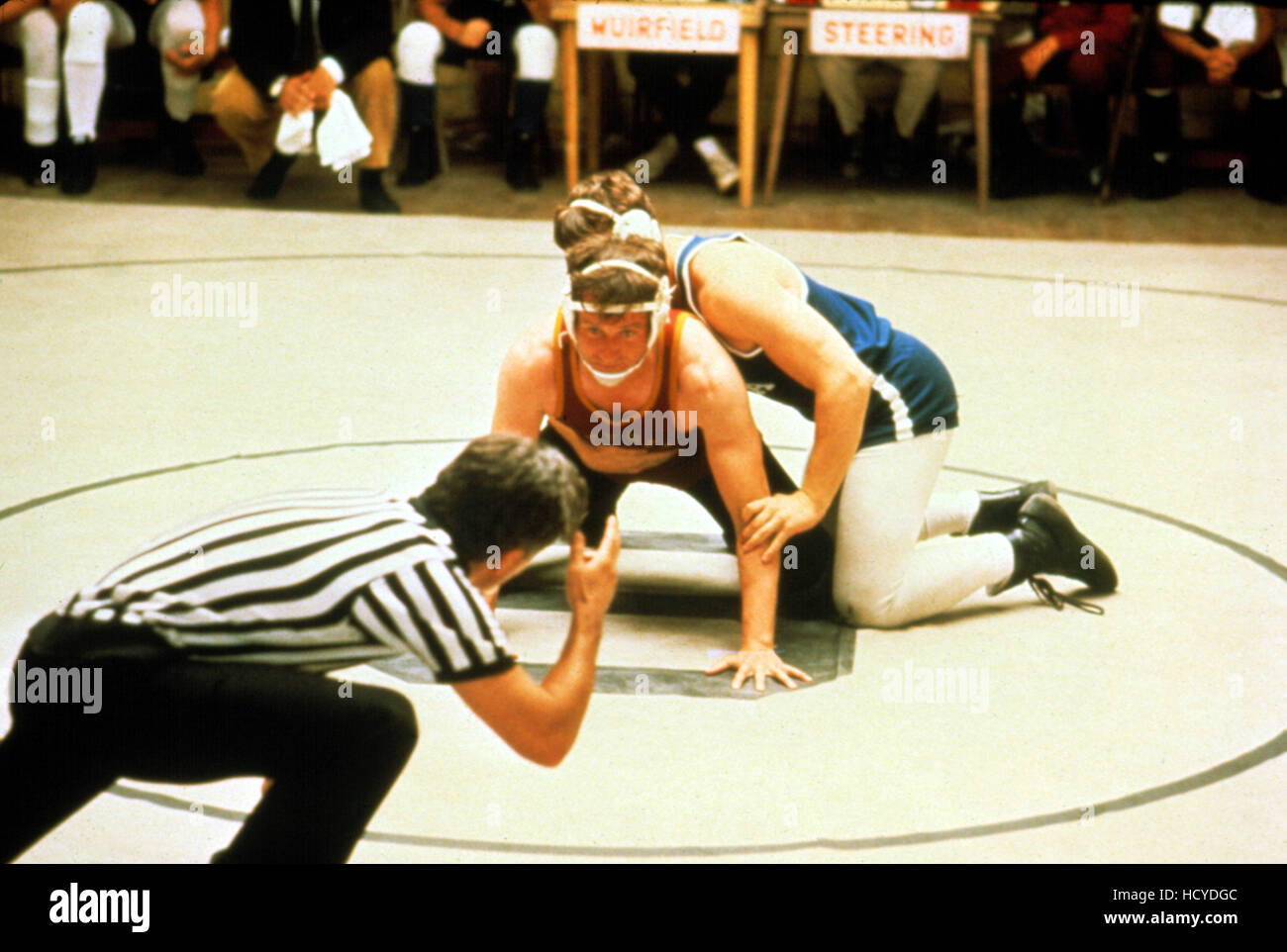 THE WORLD ACCORDING TO GARP, John Irving, Robin Williams, 1982, (c ...