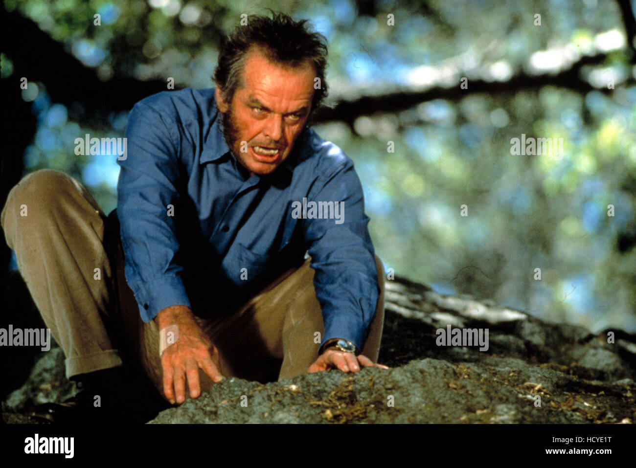 WOLF, Jack Nicholson, 1994 Stock Photo - Alamy