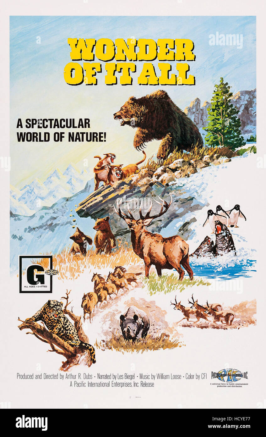 WONDER OF IT ALL, US poster art, 1974 Stock Photo - Alamy