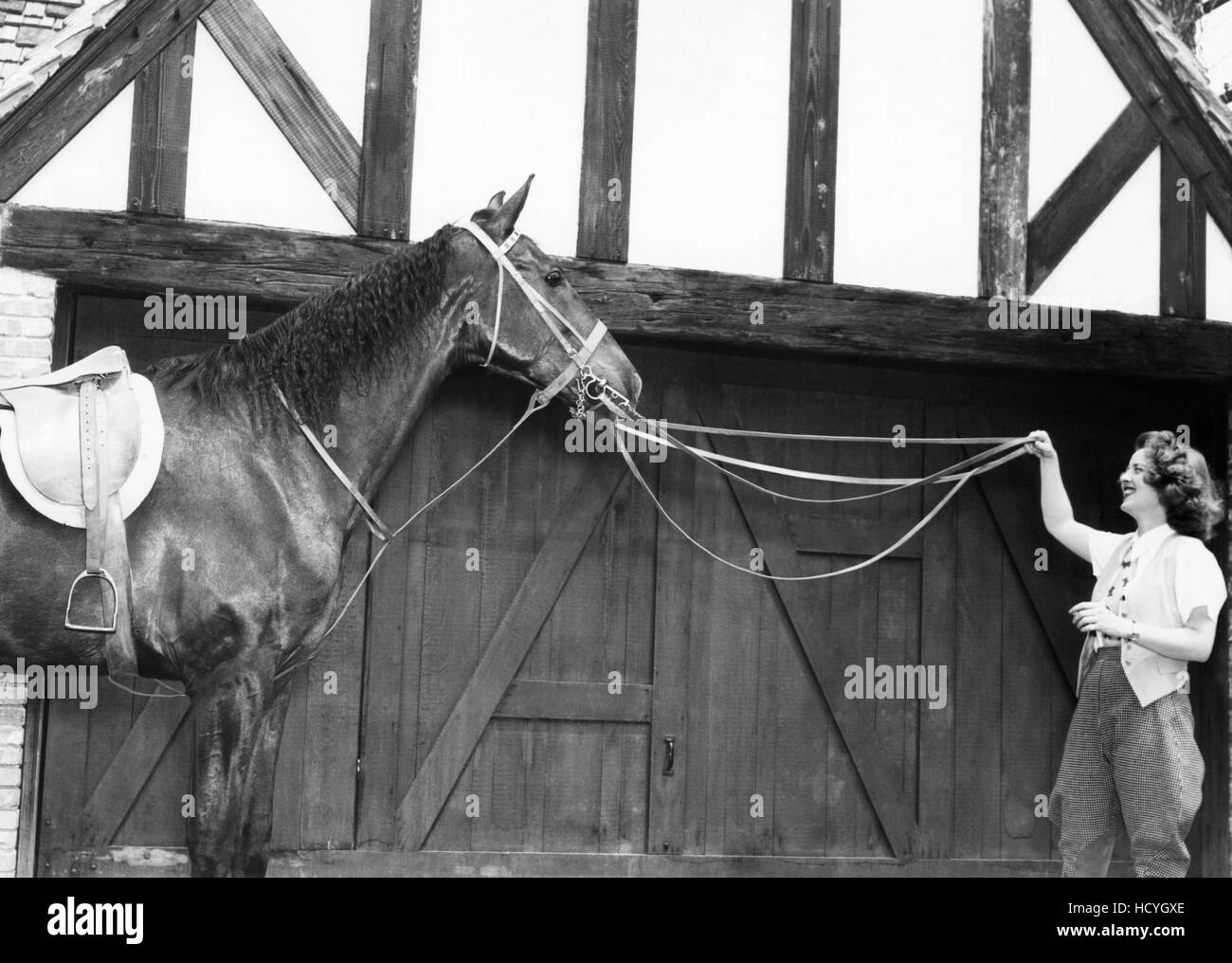 Bette Davis with equine friend, ca. 1940 Stock Photo - Alamy