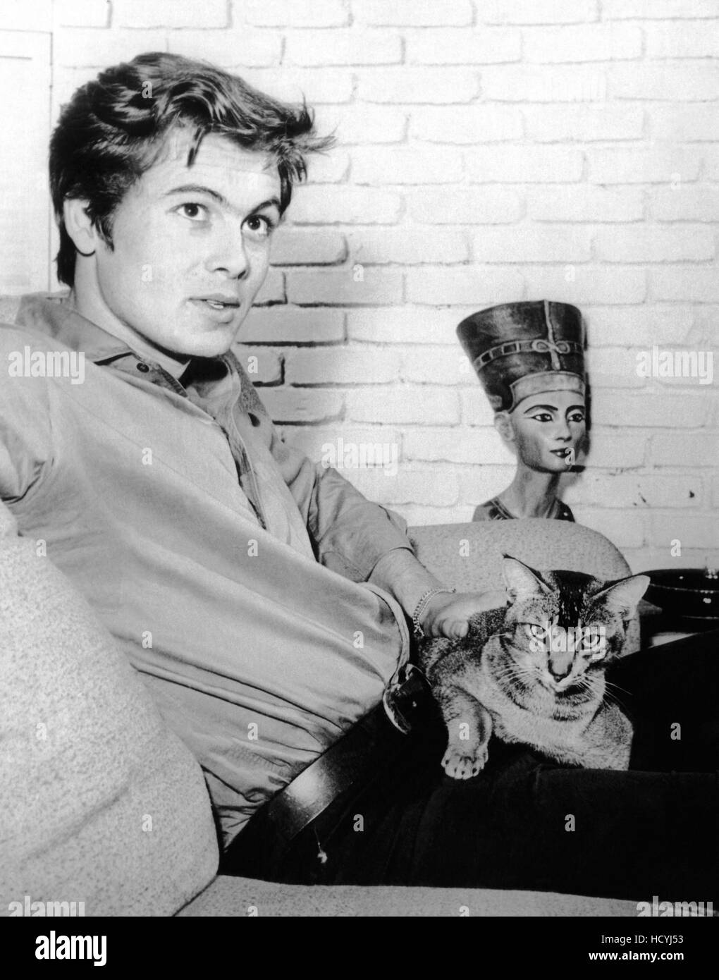 Christopher Jones, at home, 1966 Stock Photo - Alamy