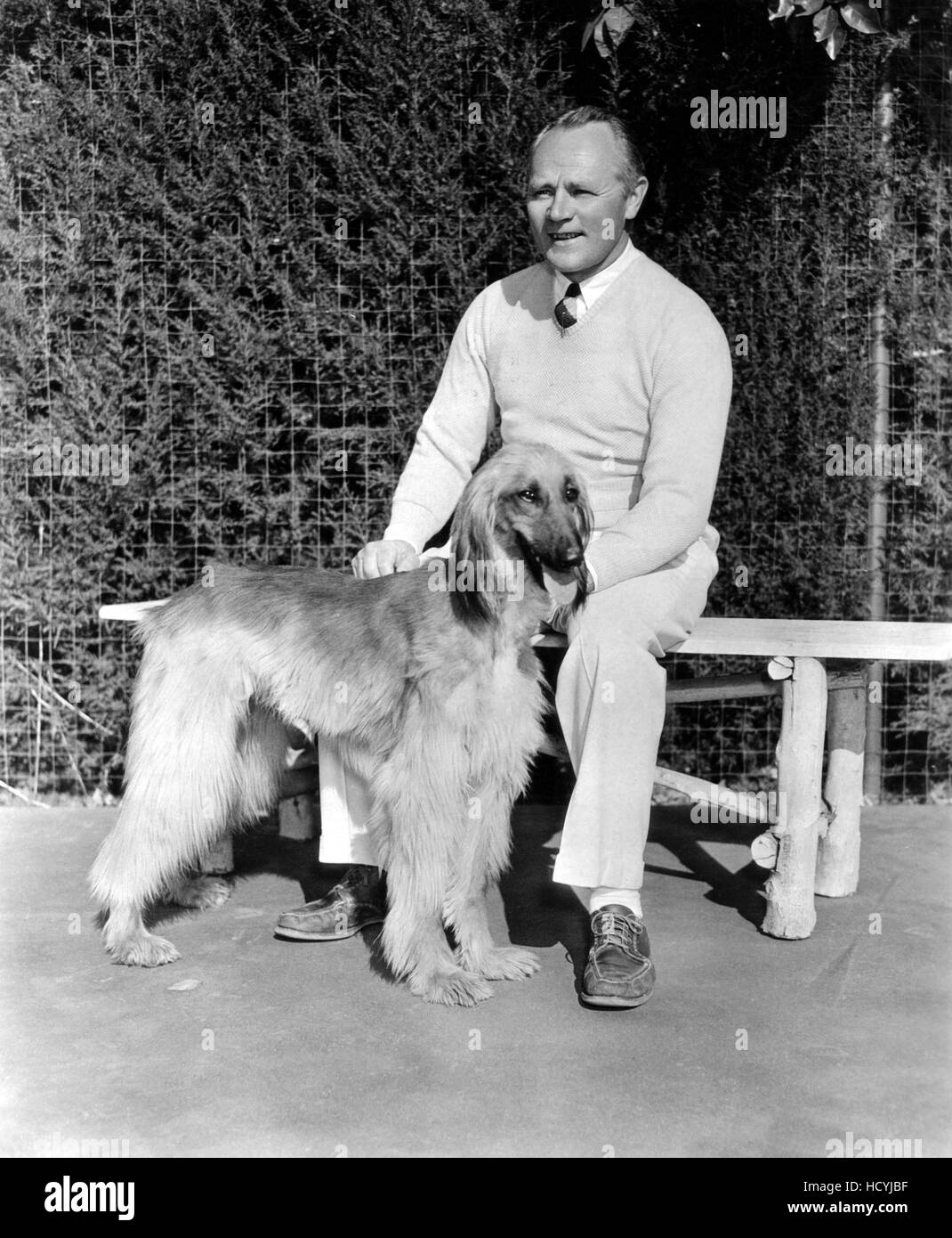 Charles Ruggles posing with Afghan hound, ca. 1936 Stock Photo - Alamy