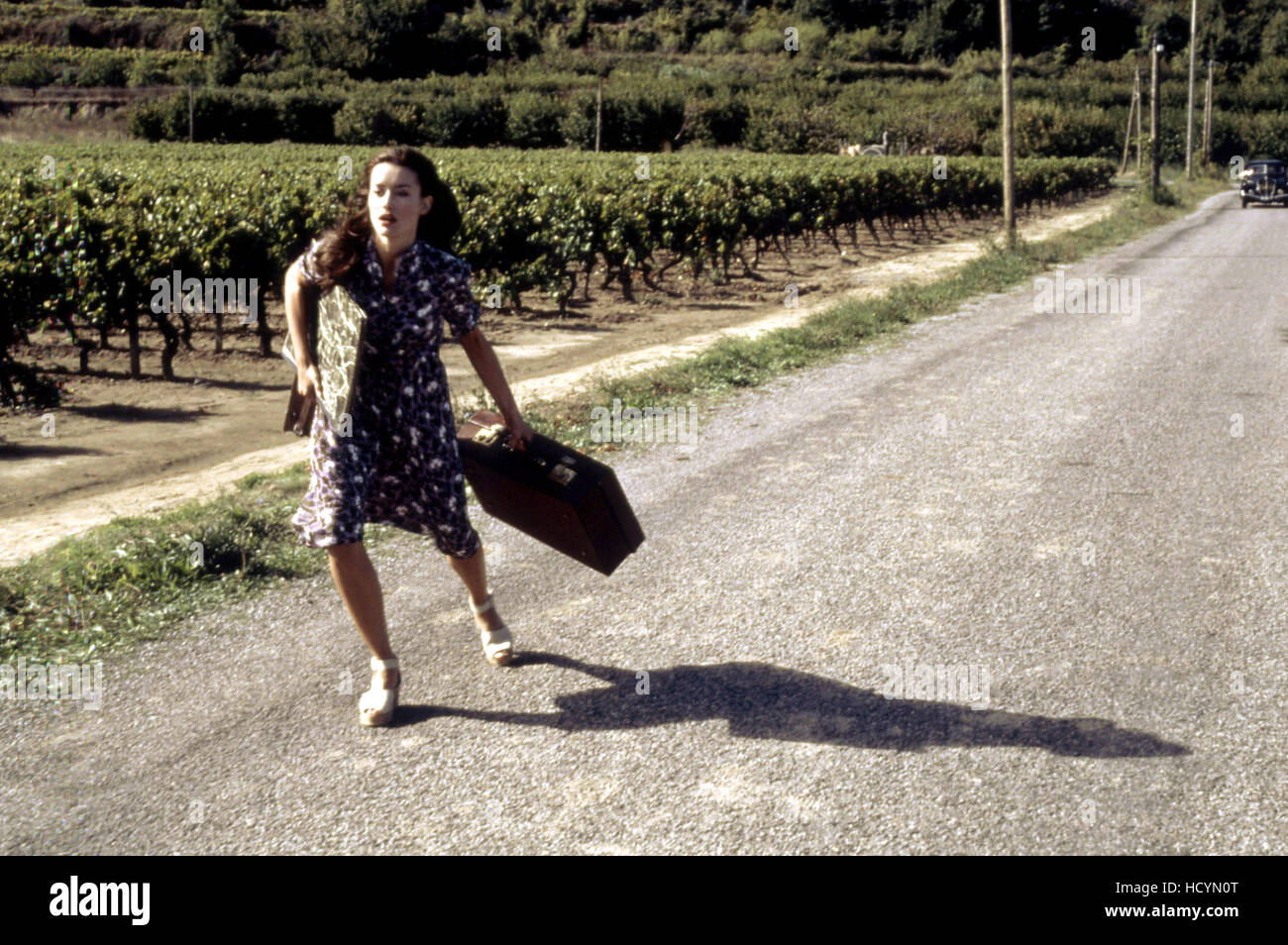 SURVIVING PICASSO, Diane Venora, 1996, (c) Warner Brothers/courtesy ...