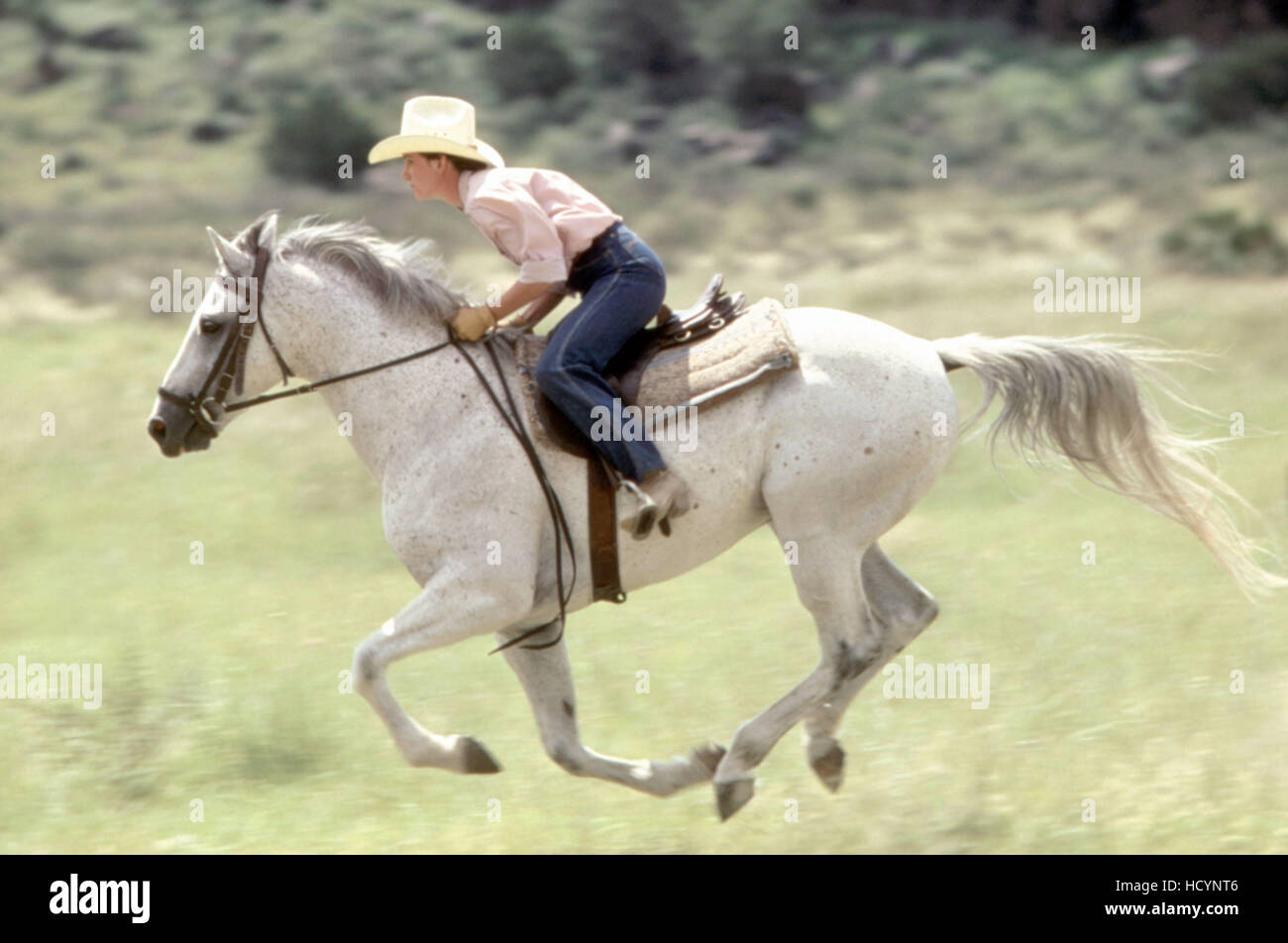 SYLVESTER, Melissa Gilbert, 1985, (c)Columbia Pictures/courtesy Everett ...
