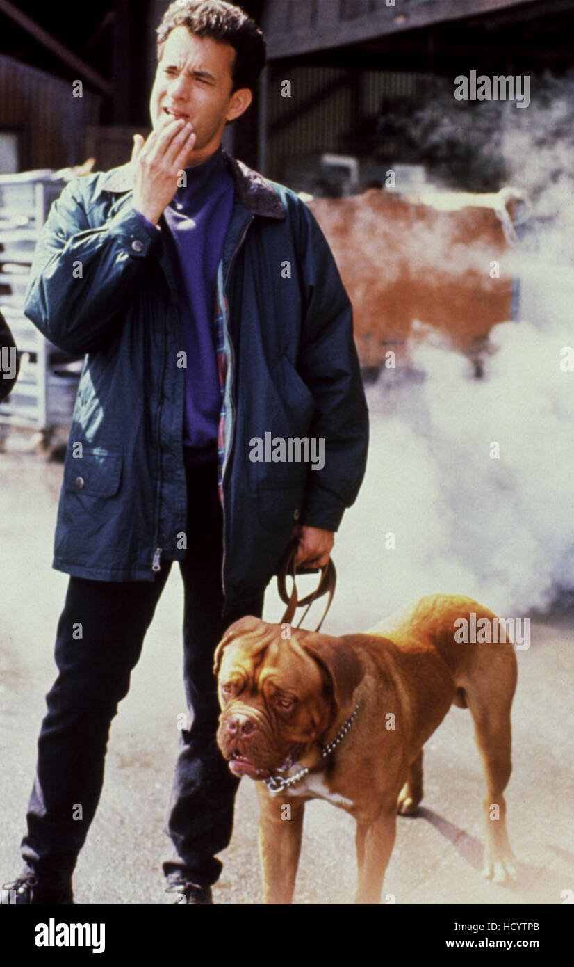 TURNER AND HOOCH, Tom Hanks, 1989 Stock Photo - Alamy