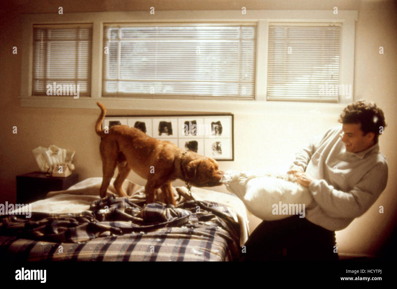 Turner and hooch 1989 hi-res stock photography and images - Alamy