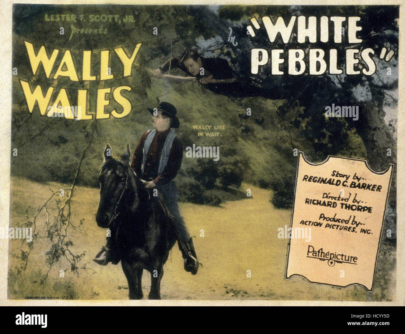 WHITE PEBBLES, US lobbycard, Hal Taliaferro as Wally Wales (top), 1927 ...