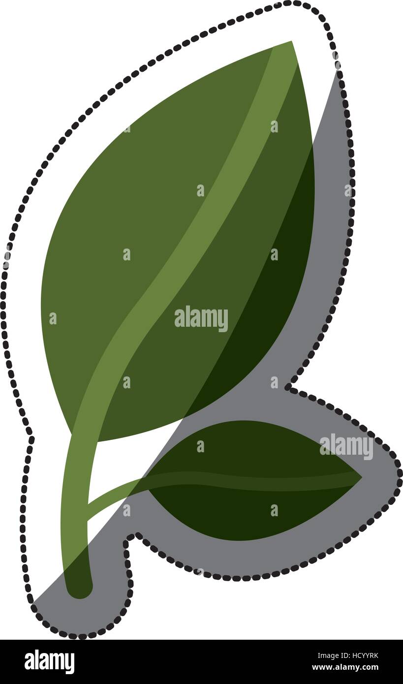 Leaf plant icon. Decoration garden ornament and nature theme. Isolated ...