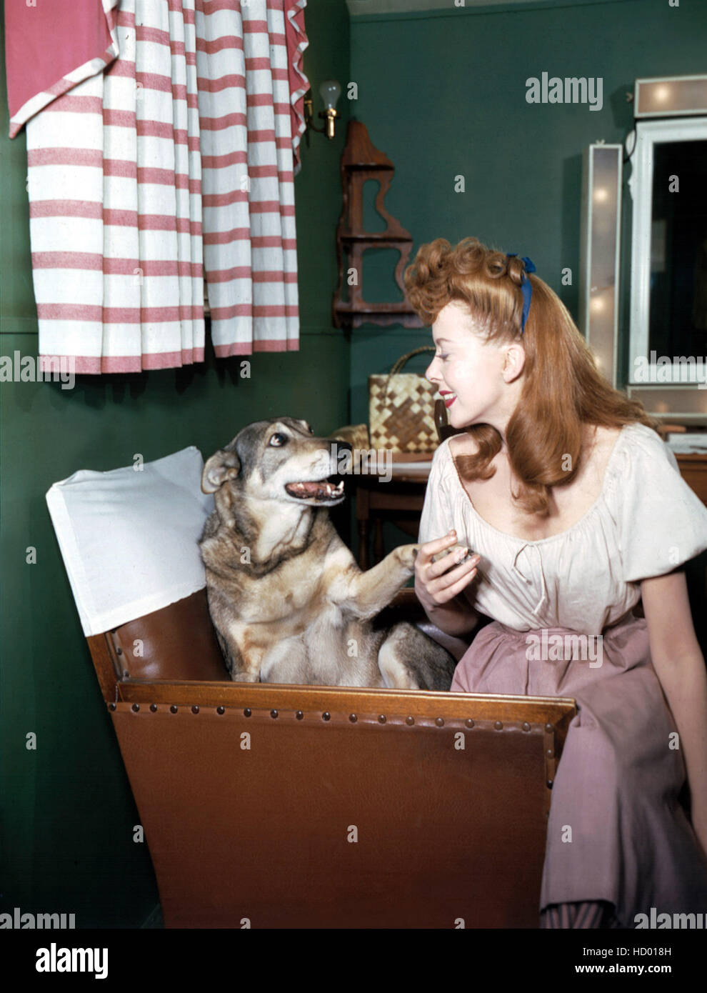 Ida Lupino and her dog Dutchess between scenes of Warner Bros. film ...