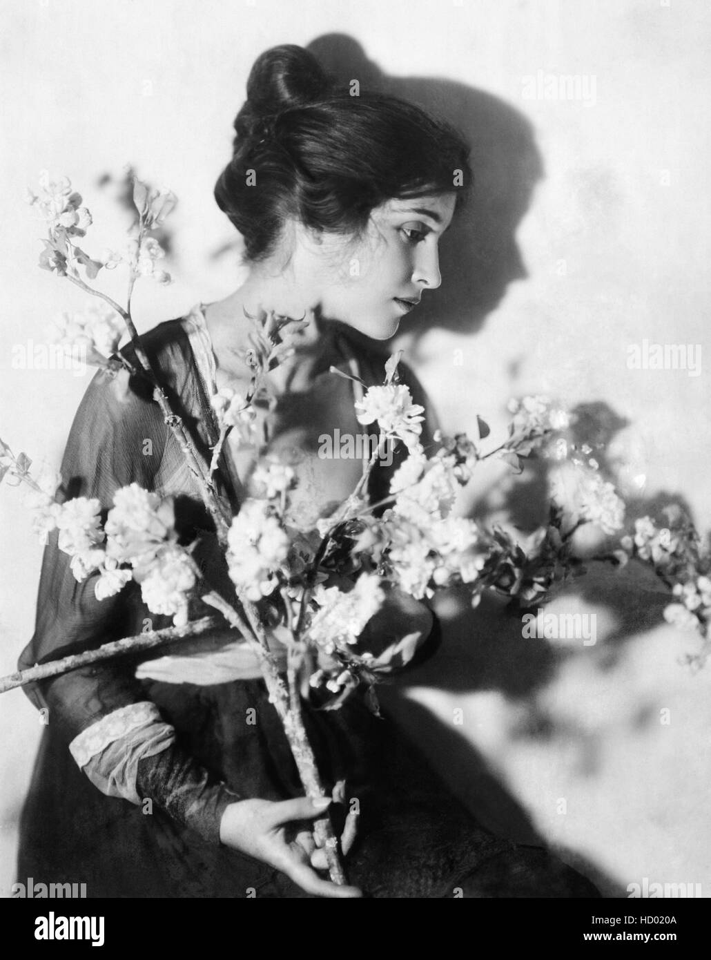 Alice Joyce, ca. mid-1910s Stock Photo - Alamy